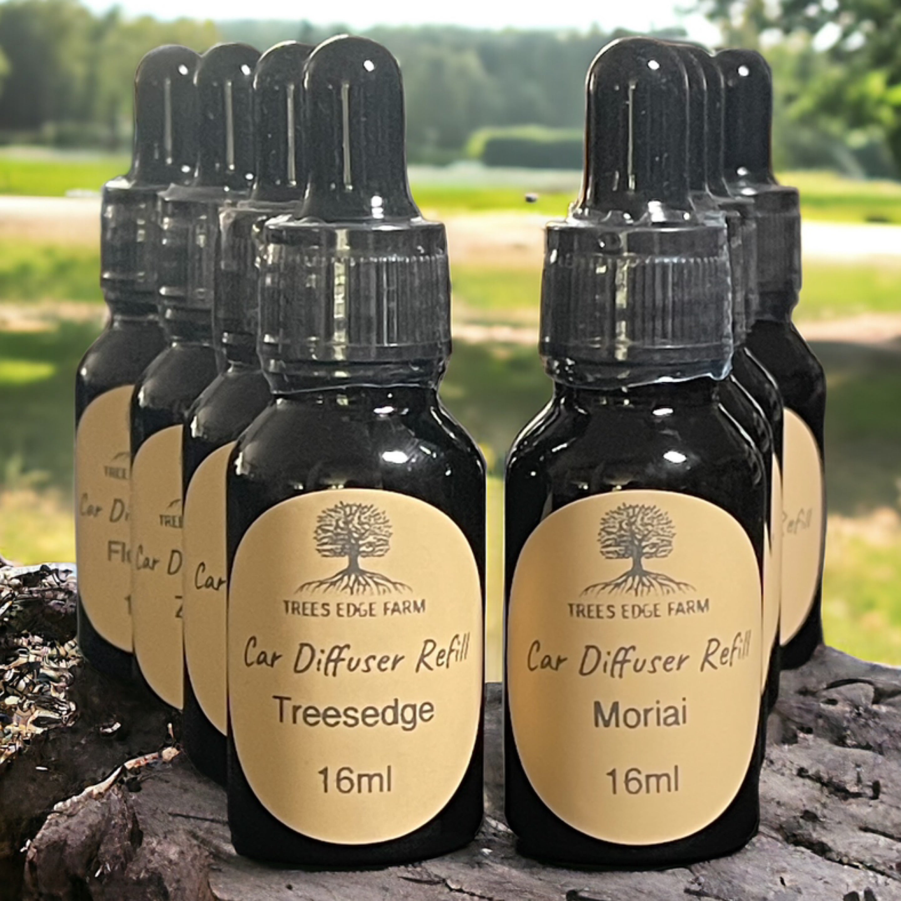 Moroccan Cashmere | Trees Edge Farm